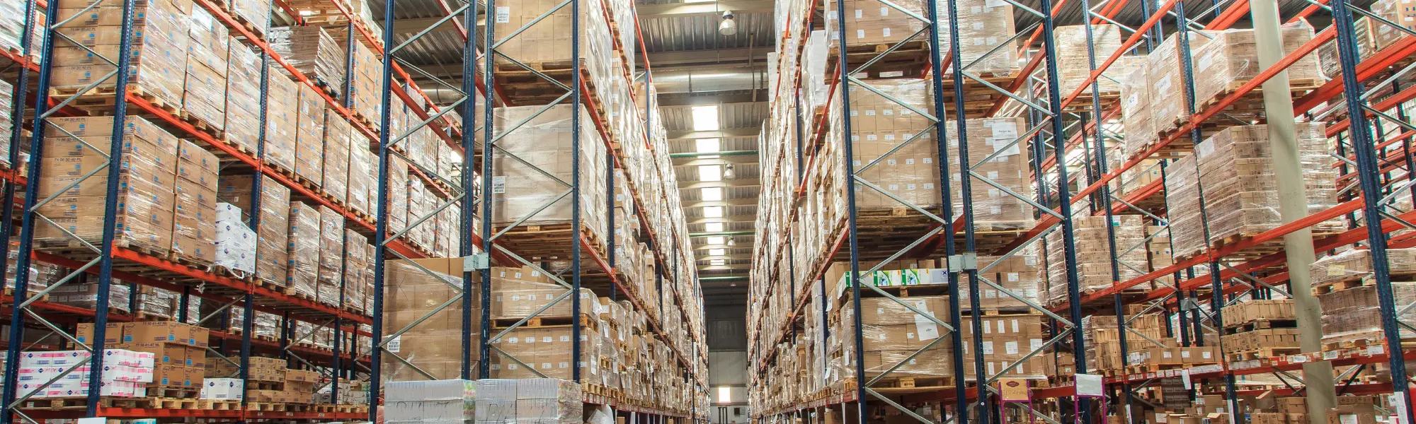 Warehouse Capacity: How Much Space Do You Need? | Meyer