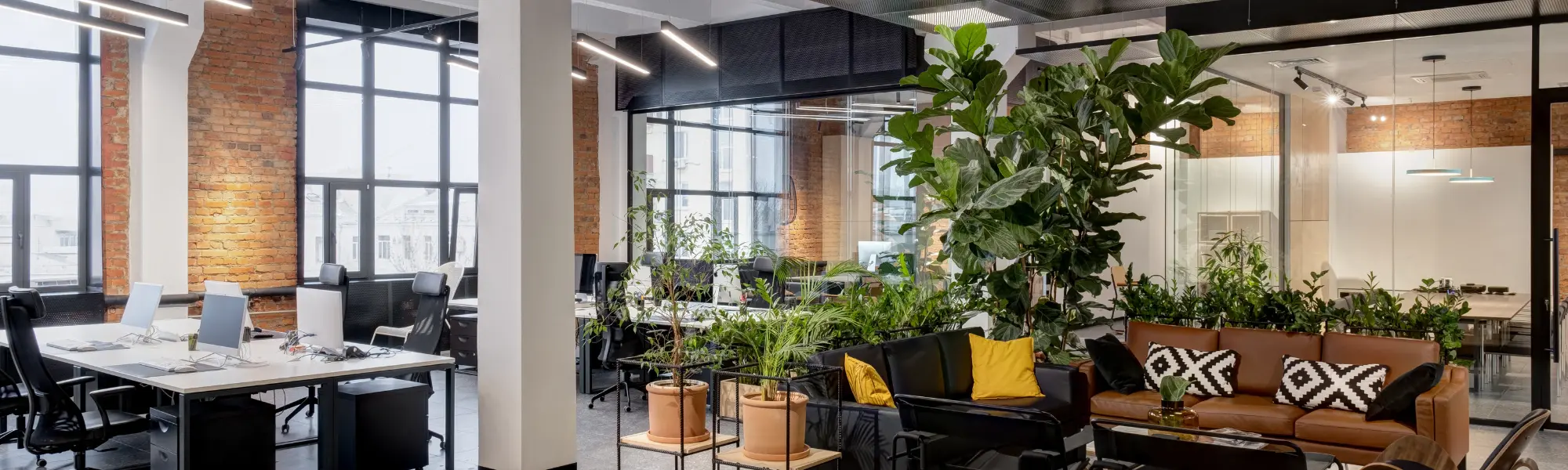 Office Decommissioning: What You Need to Know