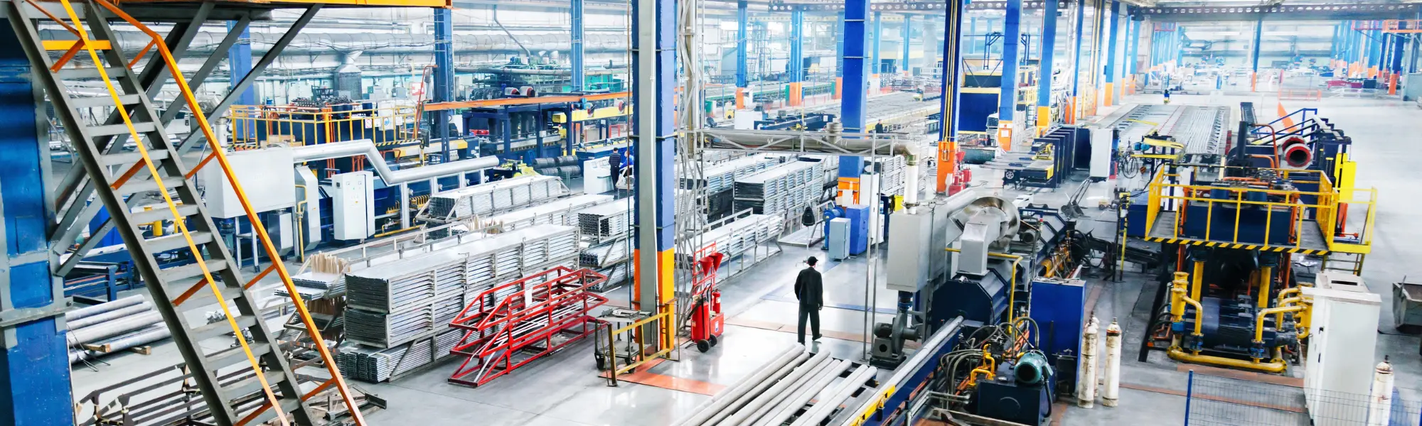 Plant Relocation Checklist: 13 Tips to Ace Your Move